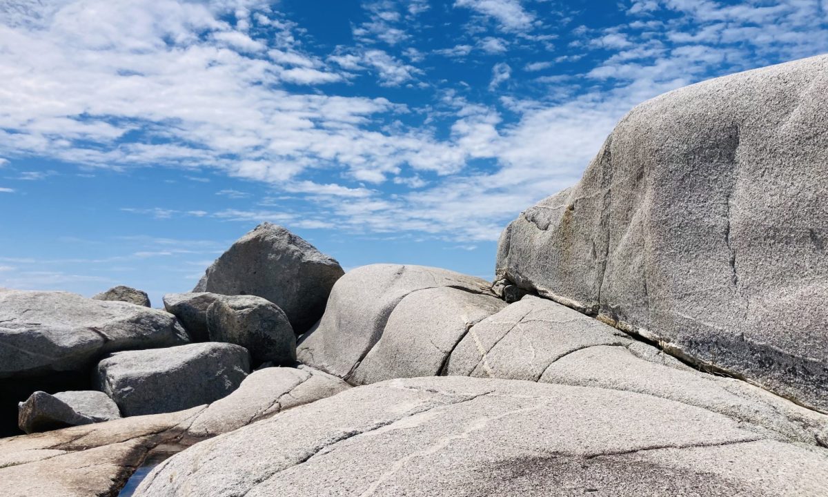 Roxanne Dault – Un instant à la fois…
